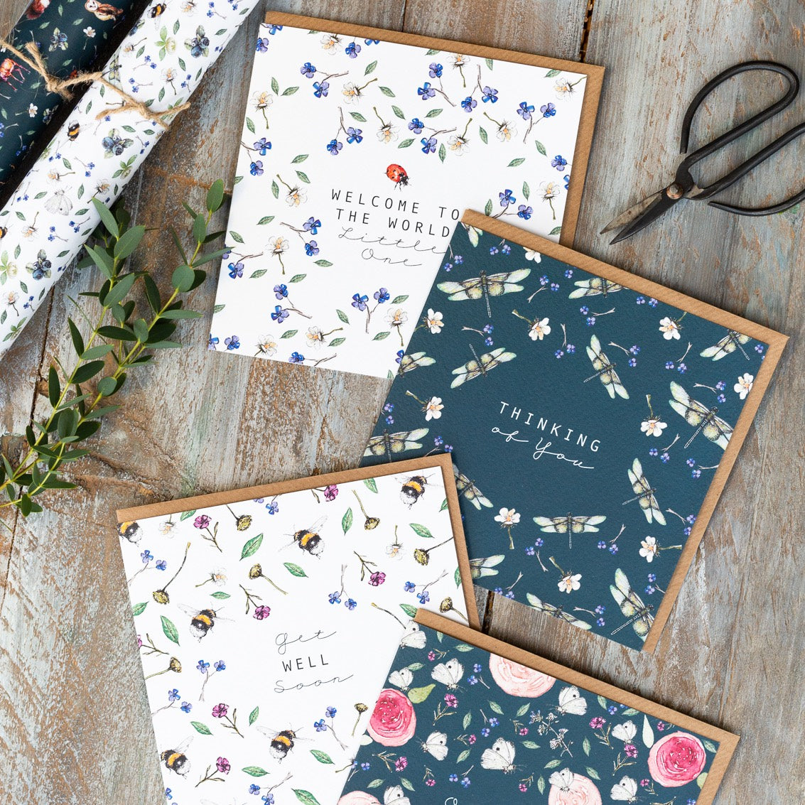Explore & Treasure Card Collection with the National Trust – Toasted ...