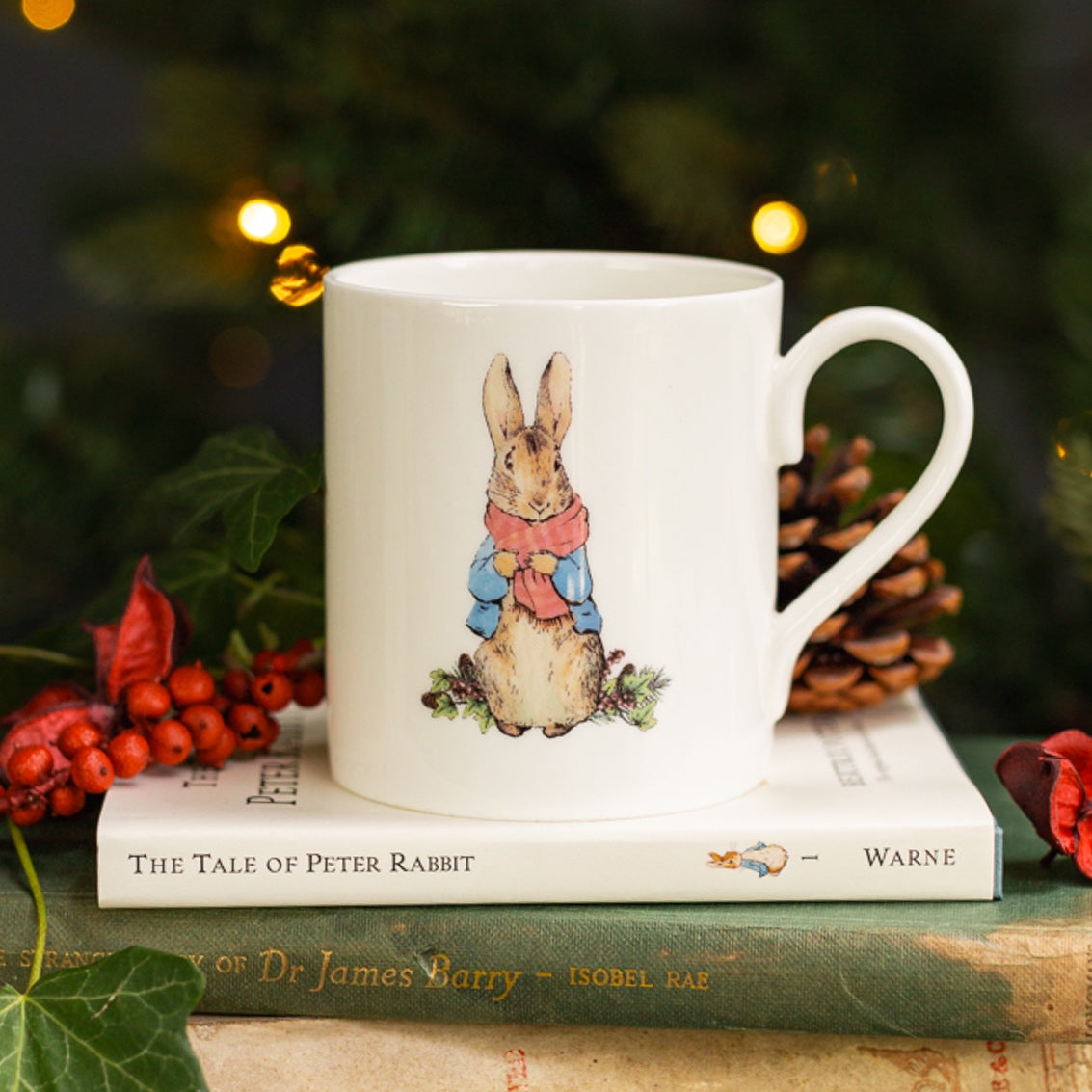 Peter Rabbit "A Winter's Tale" Small Mug in a Gift Box – Toasted Crumpet